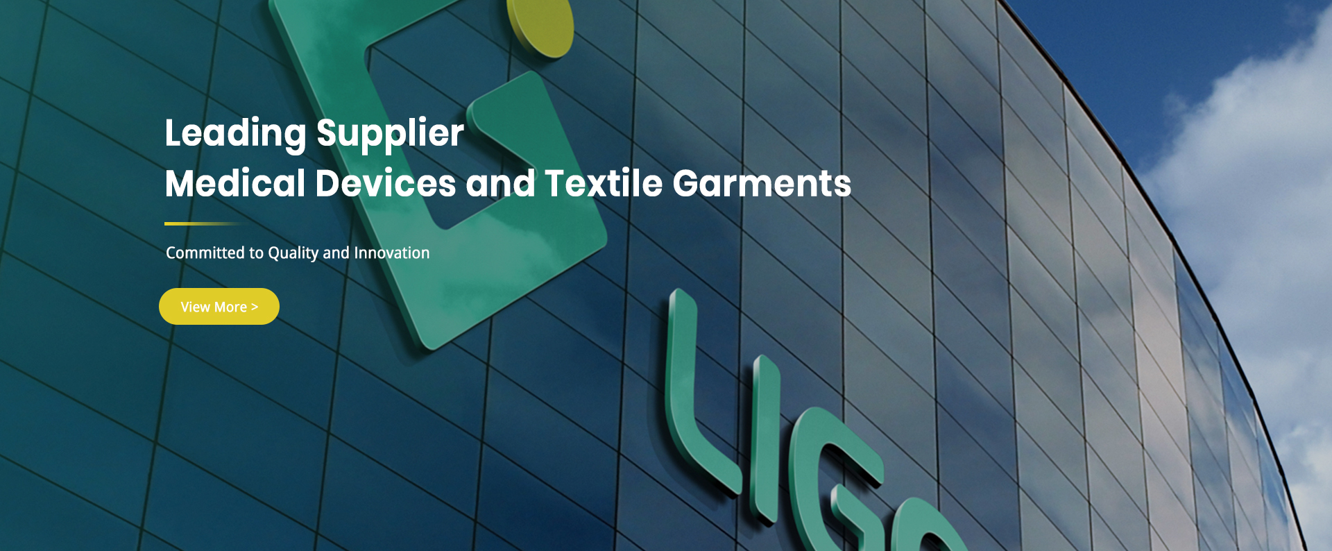 LG IMPORT AND EXPORT CORPORATION